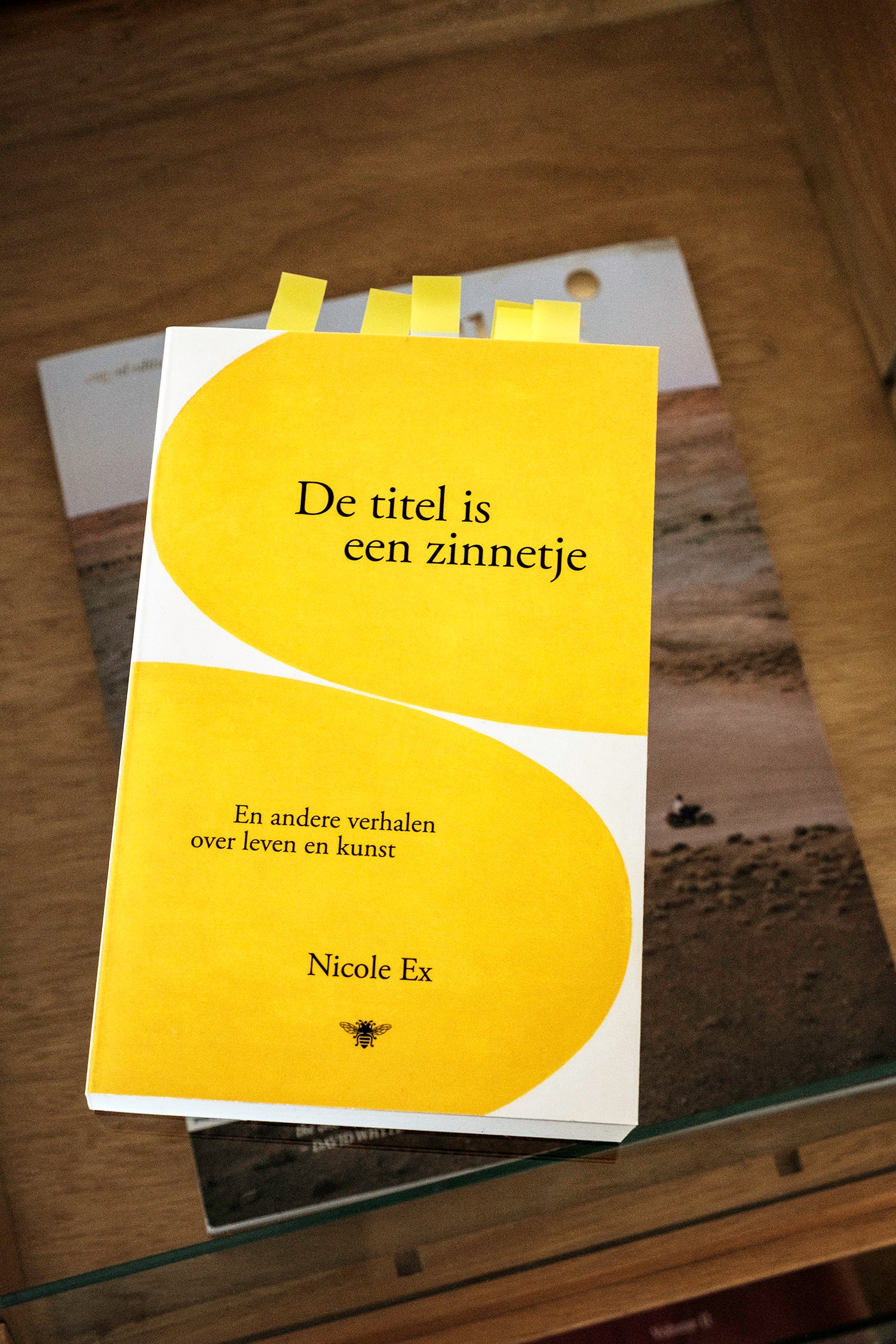 De titel is een zinnetje - Nicole Ex | See All This Magazine