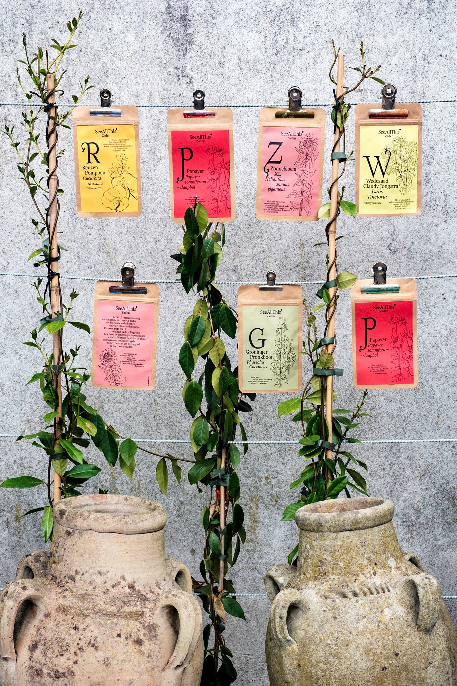 See All This Zaden (meerdere soorten) | See All This Magazine