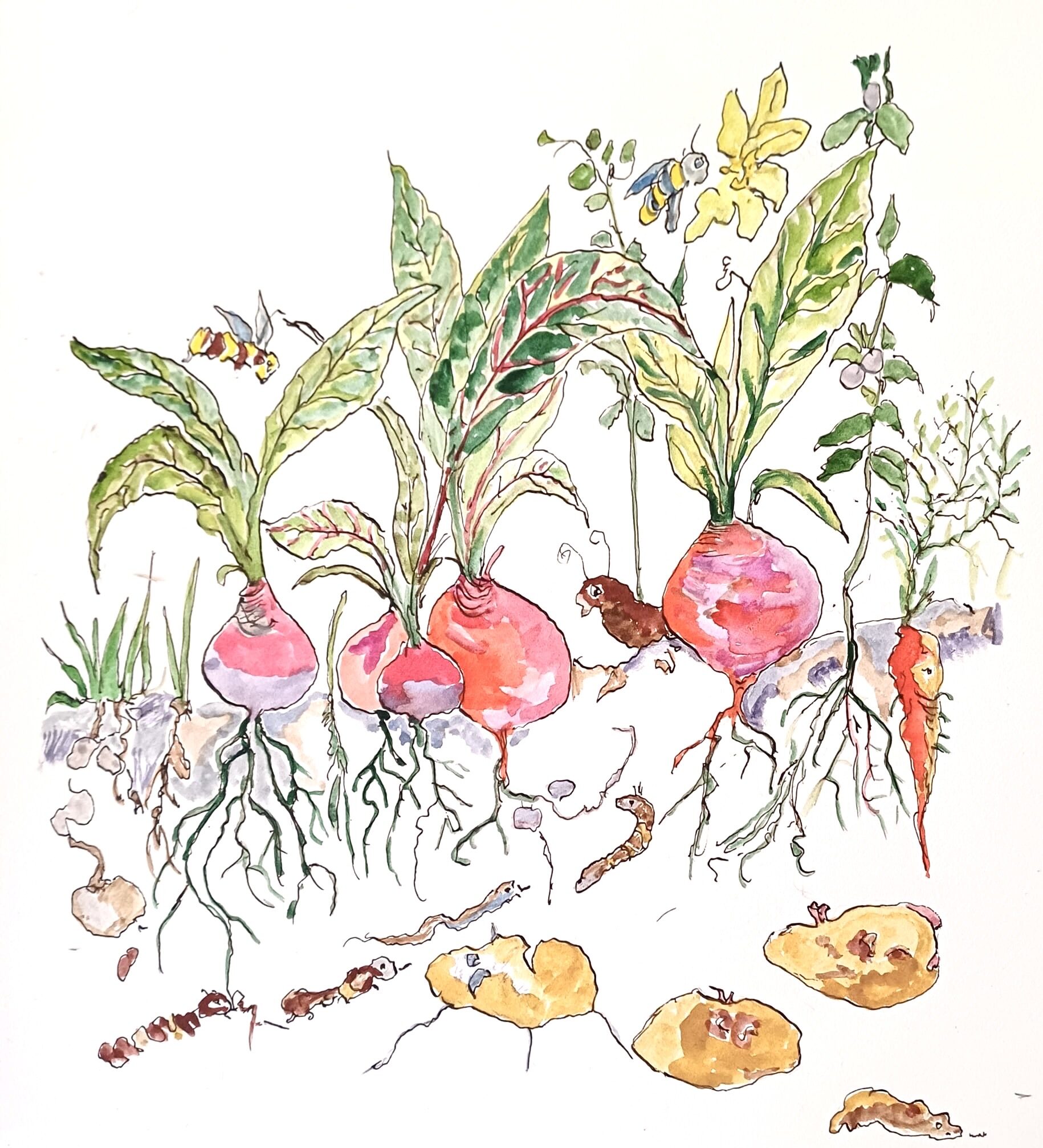 De Proeftuin | See All This Magazine