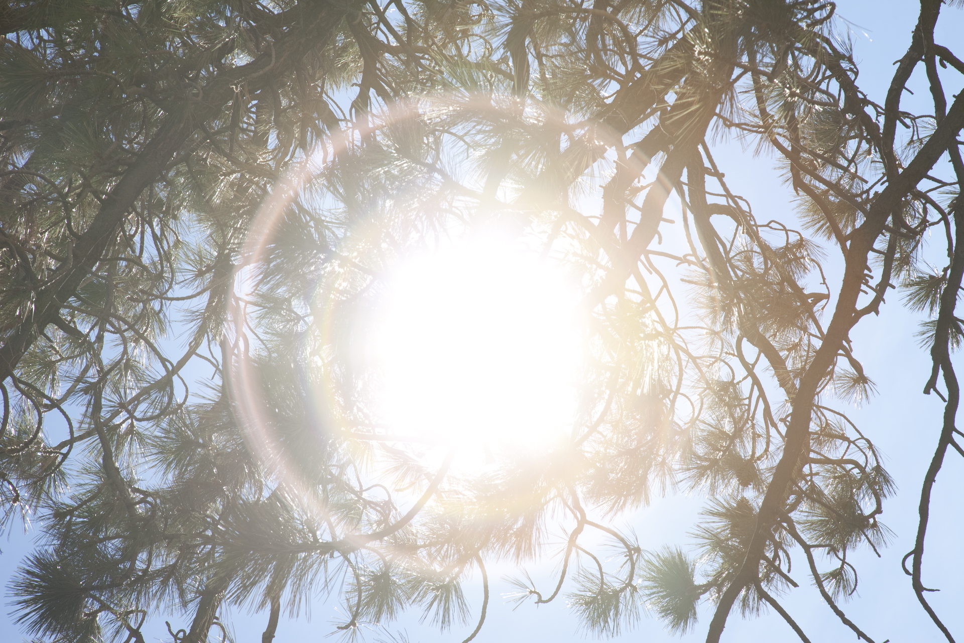 Hope and Light Sequence - Workshop | See All This Magazine