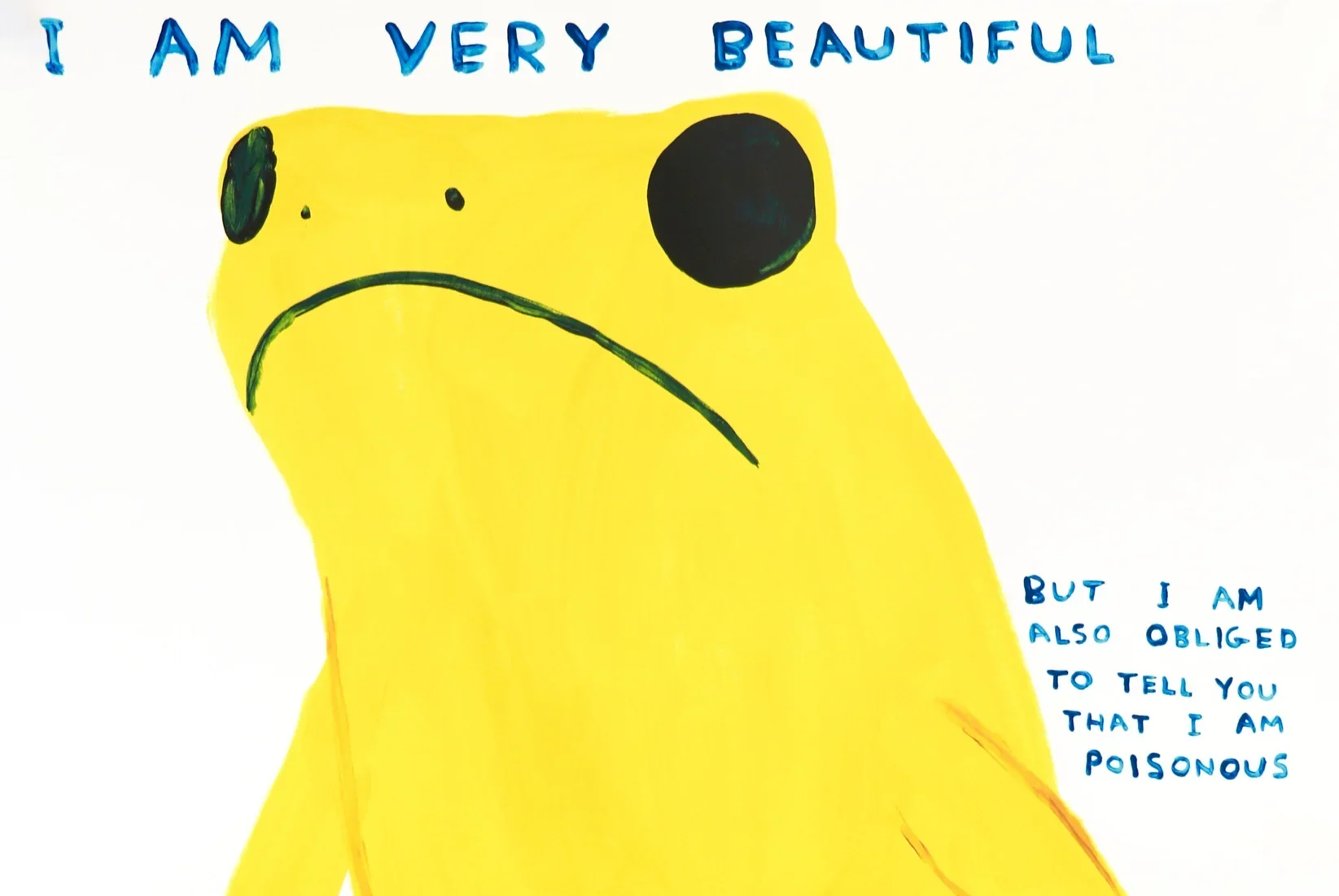 David Shrigley | See All This Magazine